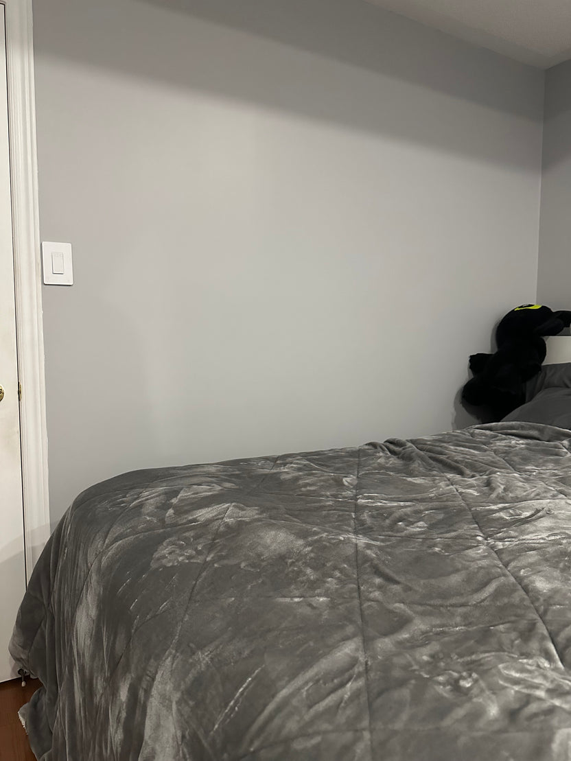 Holy Projector Starter Kit